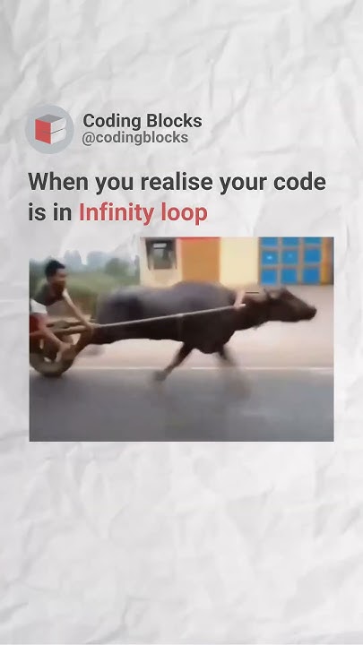 Who All Are Coders Here Coders Life Coding Blocks Code Codingblocks Youtube