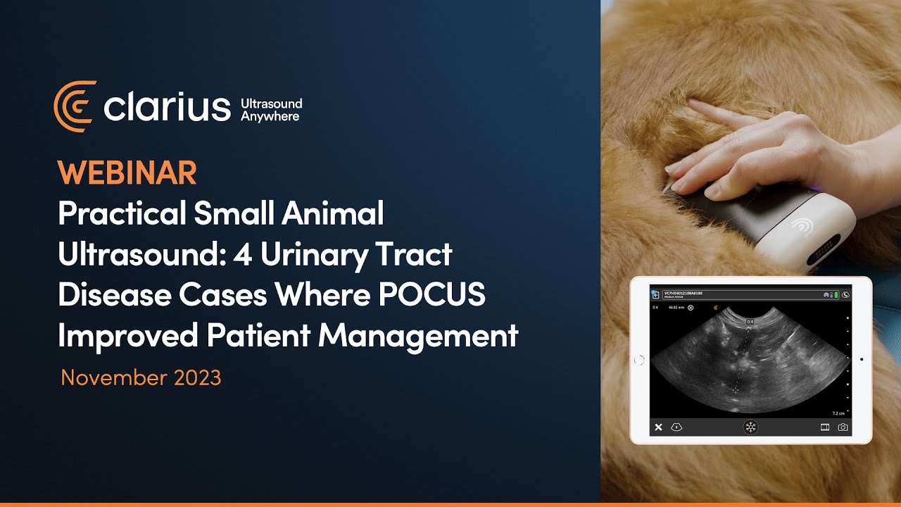 4 Urinary Tract Disease Cases Where POCUS Improved Patient Management ...