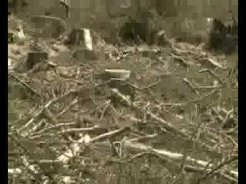 Restoration of the Border Mires - YouTube