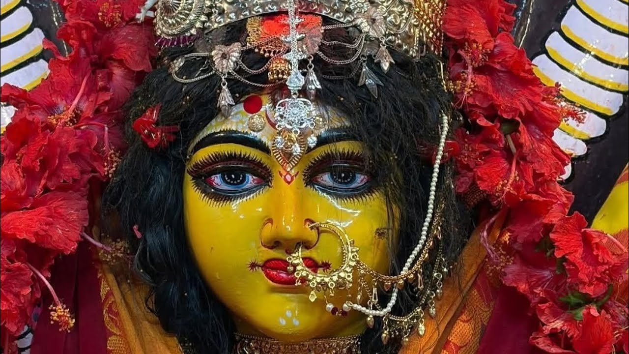 মা মনসা মন্দির কিভাবে আসবেন ? Maa Manasha Mandir Kankurgachi,Landmark ...
