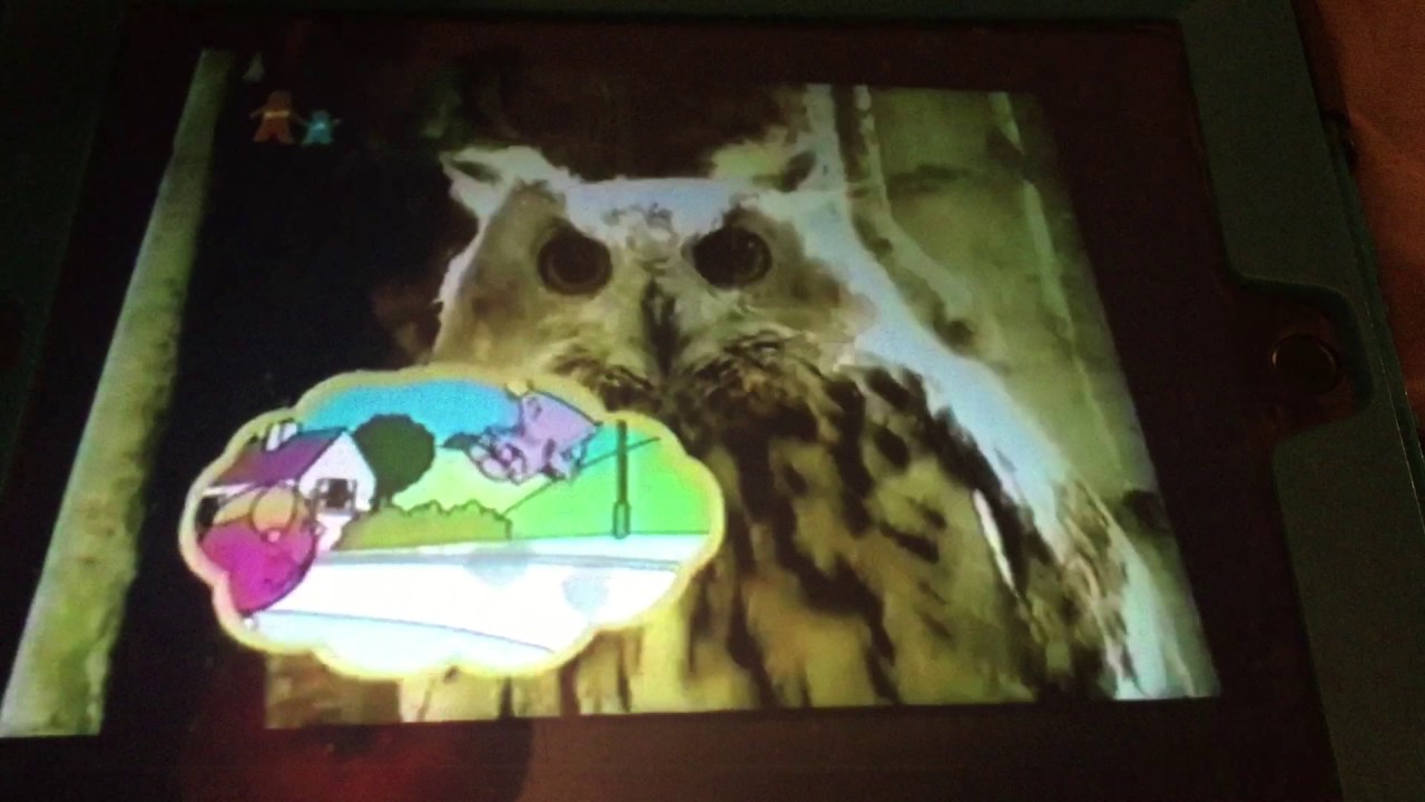 Animals Nick Jr Next Bumper - YouTube