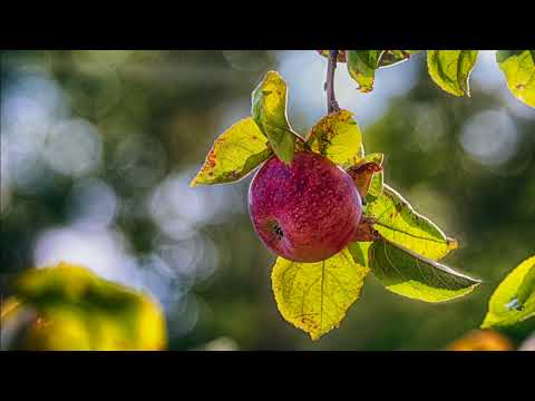Farben für den Winter von Role Kalkbrenner