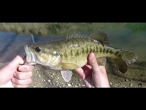 Fishing at Barkley Meadows in Austin - YouTube