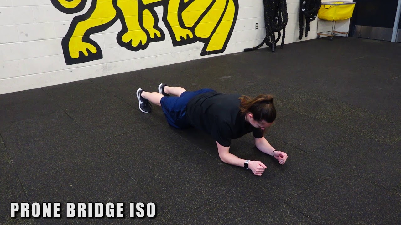 Prone Bridge Iso - YouTube
