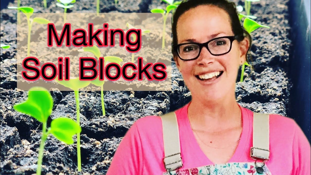 How to Make Soil Blocks and Soil Block Recipe | little roots ranch with ...