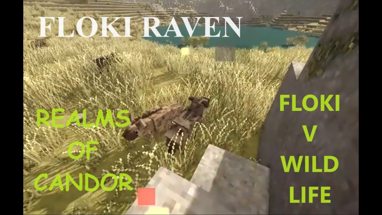 Floki Raven 92: Realms of Candor: Floki v Wildlife - YouTube