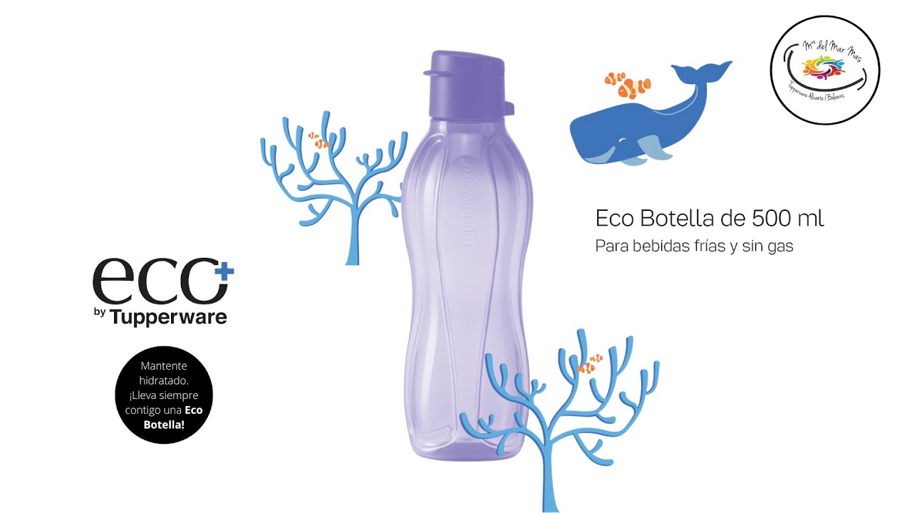 Eco botella 500 - YouTube