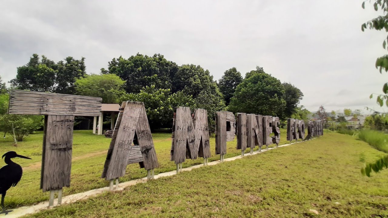 Hiking and exploring TAMPINES ECO GREEN in SINGAPORE - YouTube