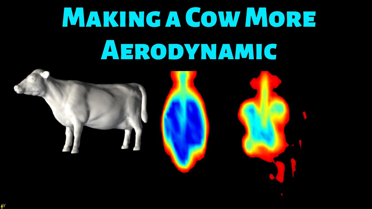 Aerodynamics Challenge! Can you make a cow more aerodynamic? - YouTube