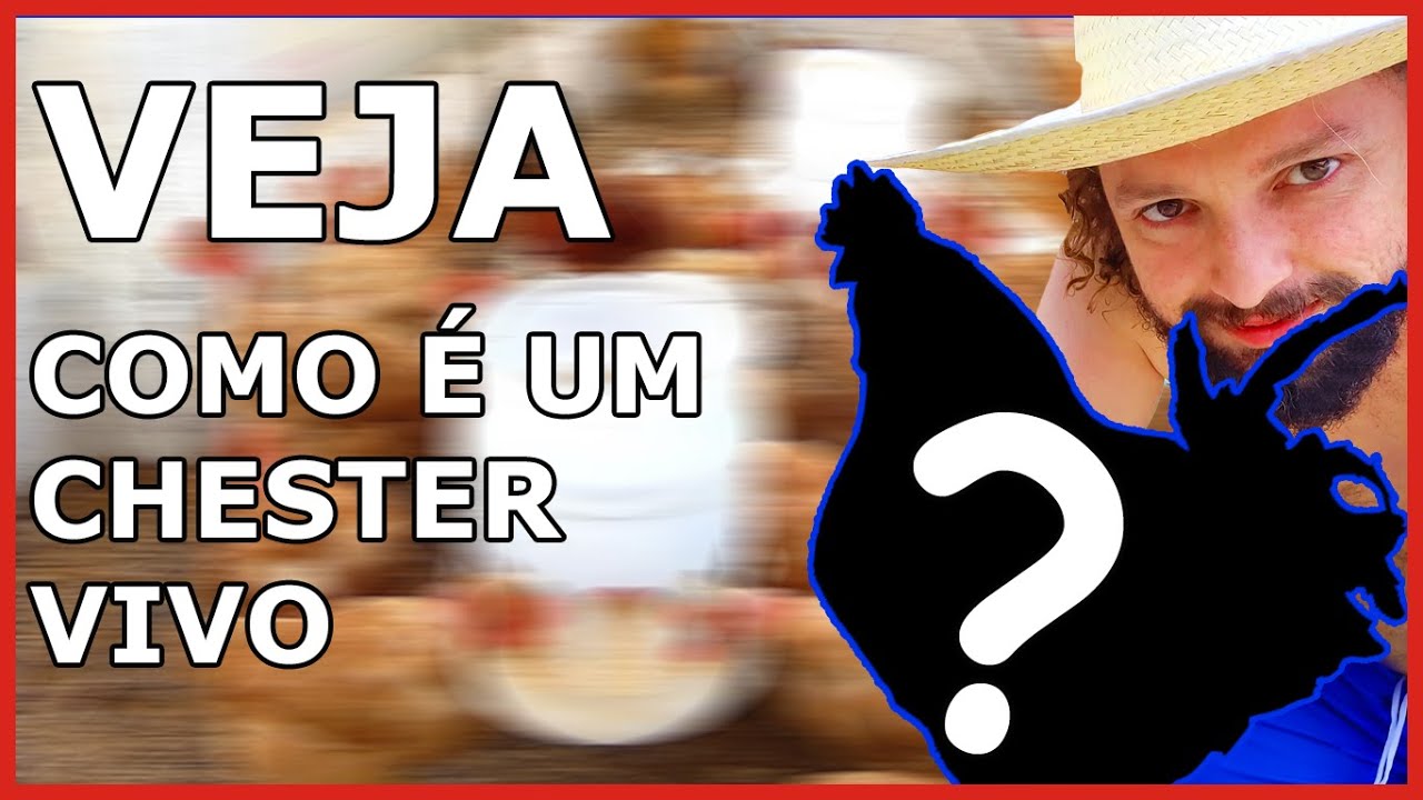 Veja um CHESTER VIVO! O FIM DO MISTÉRIO! - YouTube
