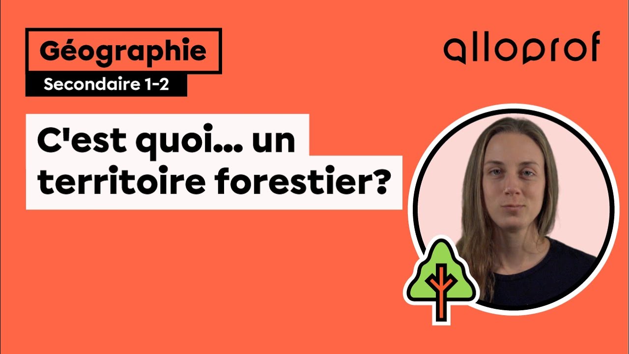 C’est quoi… un territoire forestier? | Géographie | Alloprof - YouTube