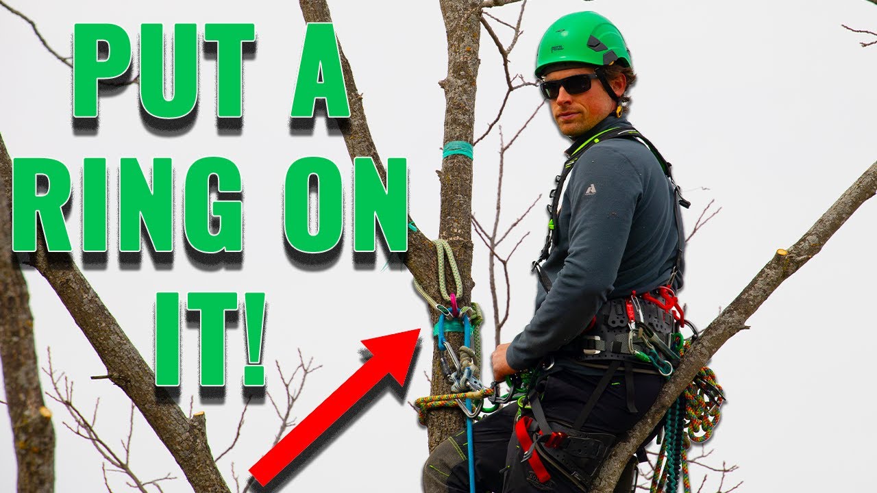 Tree Climbing Anchor: Friction Saver - YouTube