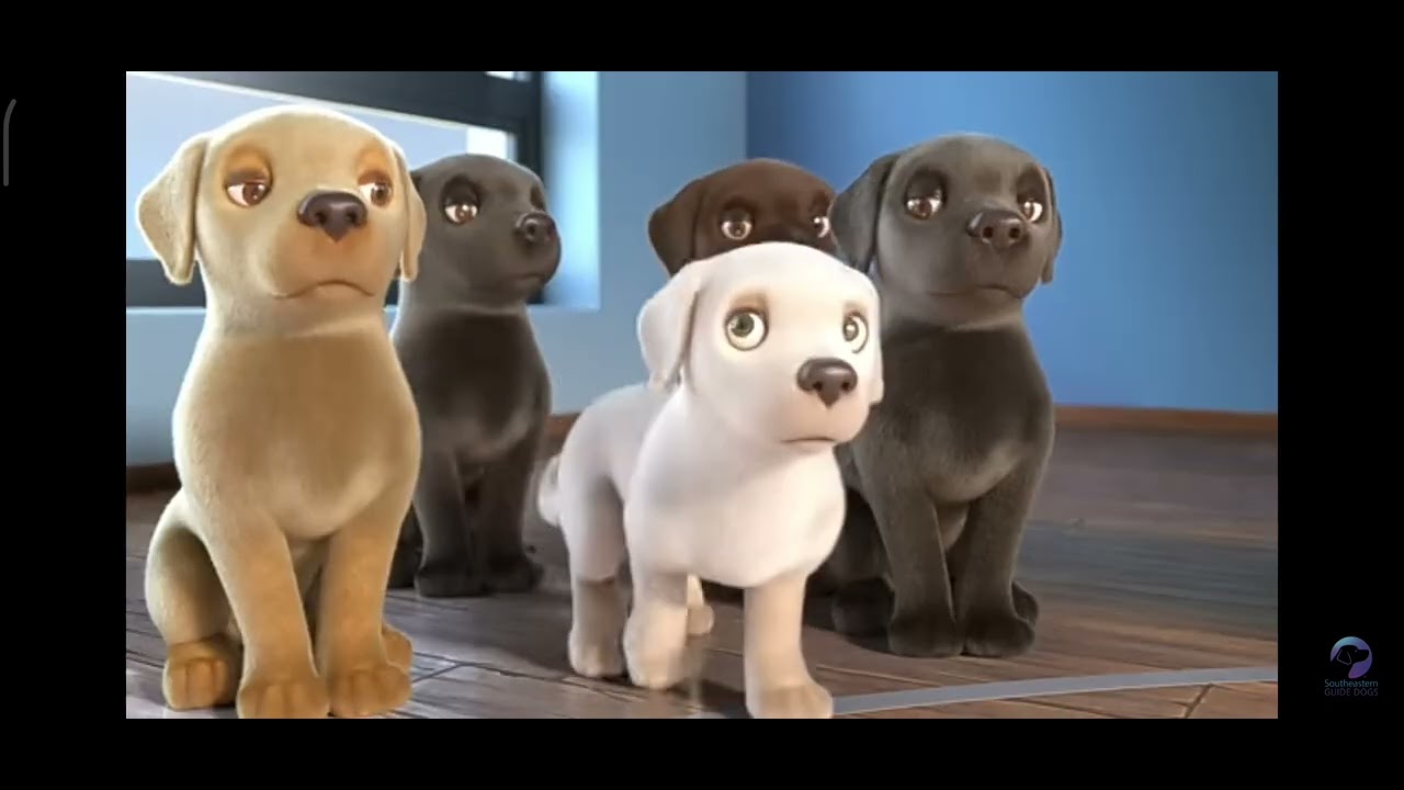 Pip || Puppy || OMG || ♥️ - YouTube