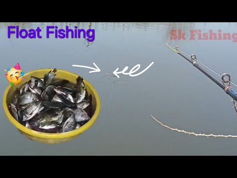 Single Hook"Float Fishing | Back to Back Catch Tilapia Fish|amazing ...