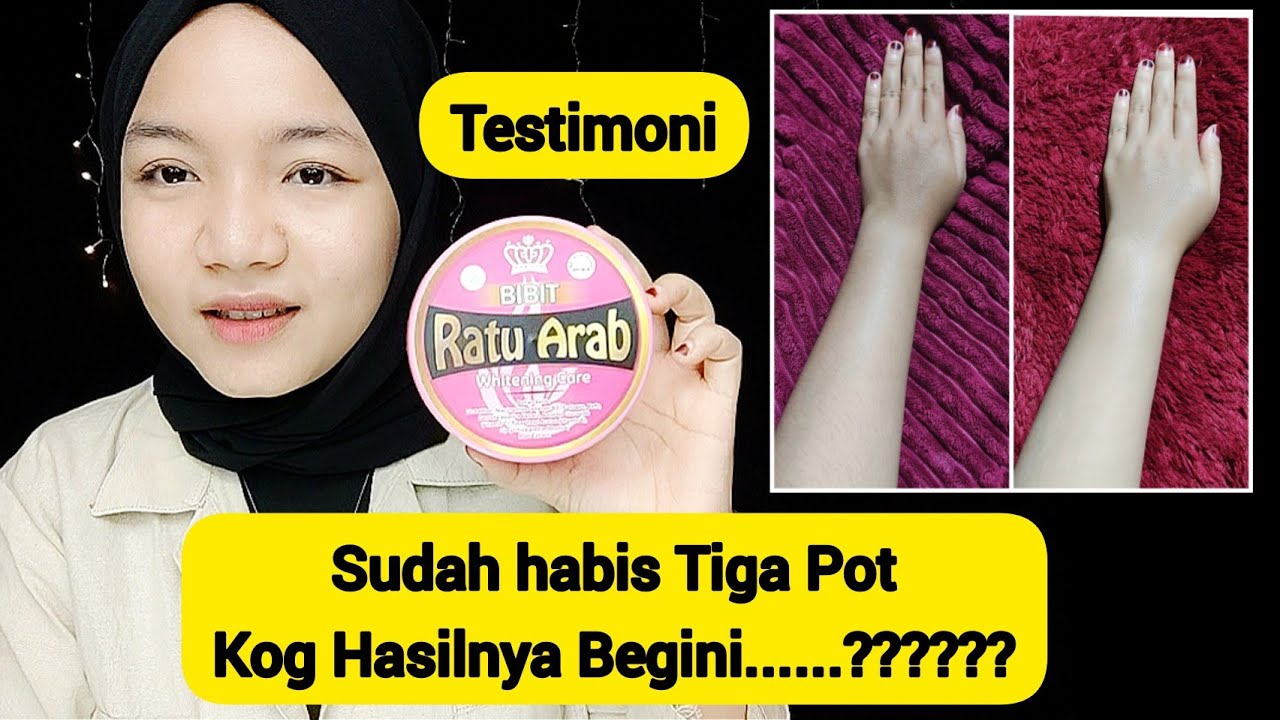 TESTIMONI BIBIT RATU ARAB PEMAKAIAN 3 POT || REVIEW BIBIT RATU ARAB ...