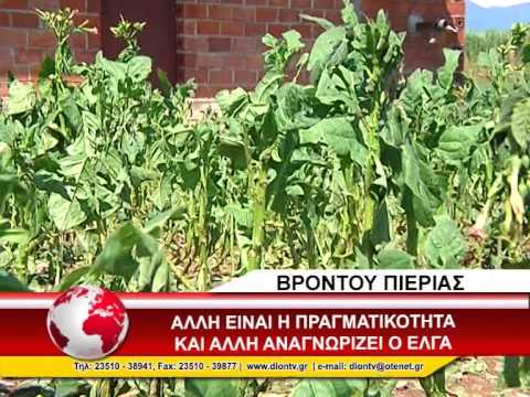 ΔΙΑΜΑΡΤΥΡΙΑ ΑΓΡΟΤΩΝ ΒΡΟΝΤΟΥ 12/3/2015 - YouTube