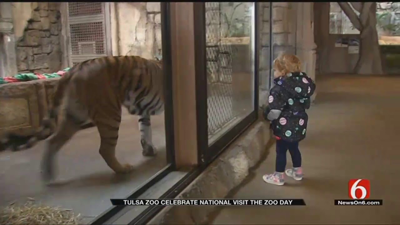 Guests Take Advantage Of National Visit The Zoo Day - YouTube