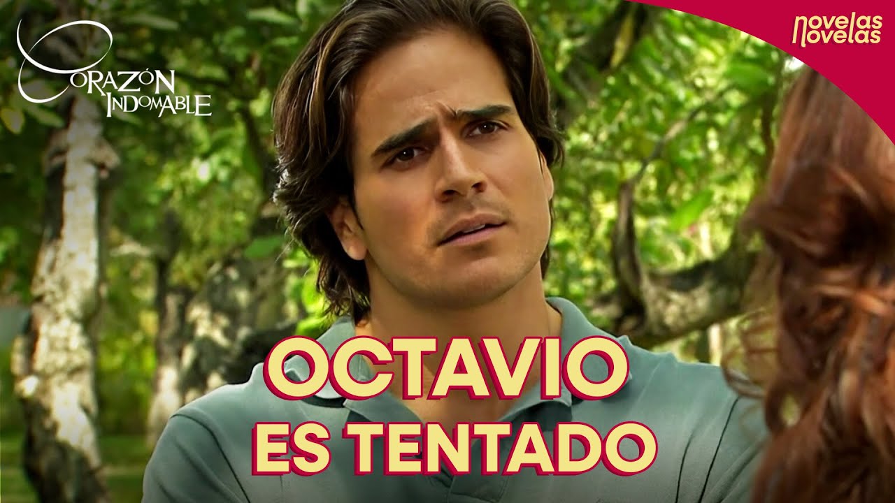 Octavio es animado a casarse con Simona por su fortuna | Corazón ...