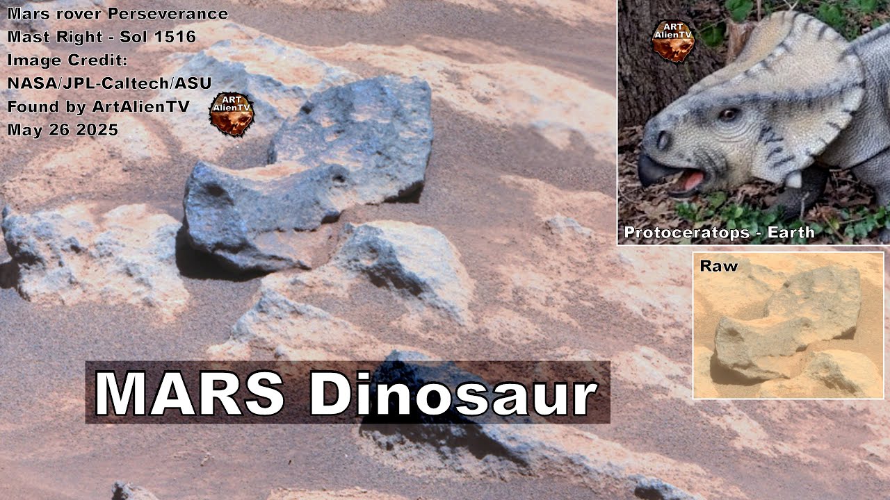 MARS Dinosaur Found in Dried Riverbed. ArtAlienTV - YouTube