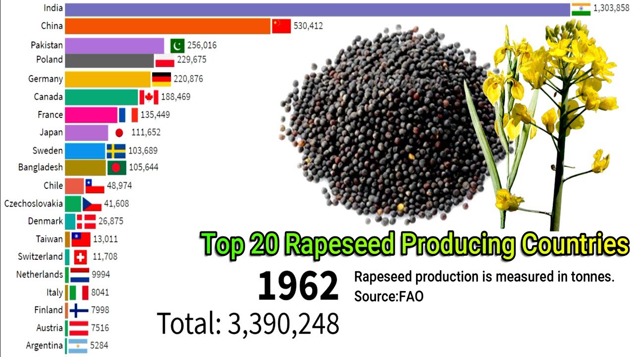 Top 20 Rapeseed Producing Countries || Top 20 Rapeseed Production ...