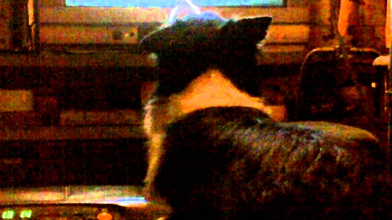 Bite into screen - YouTube