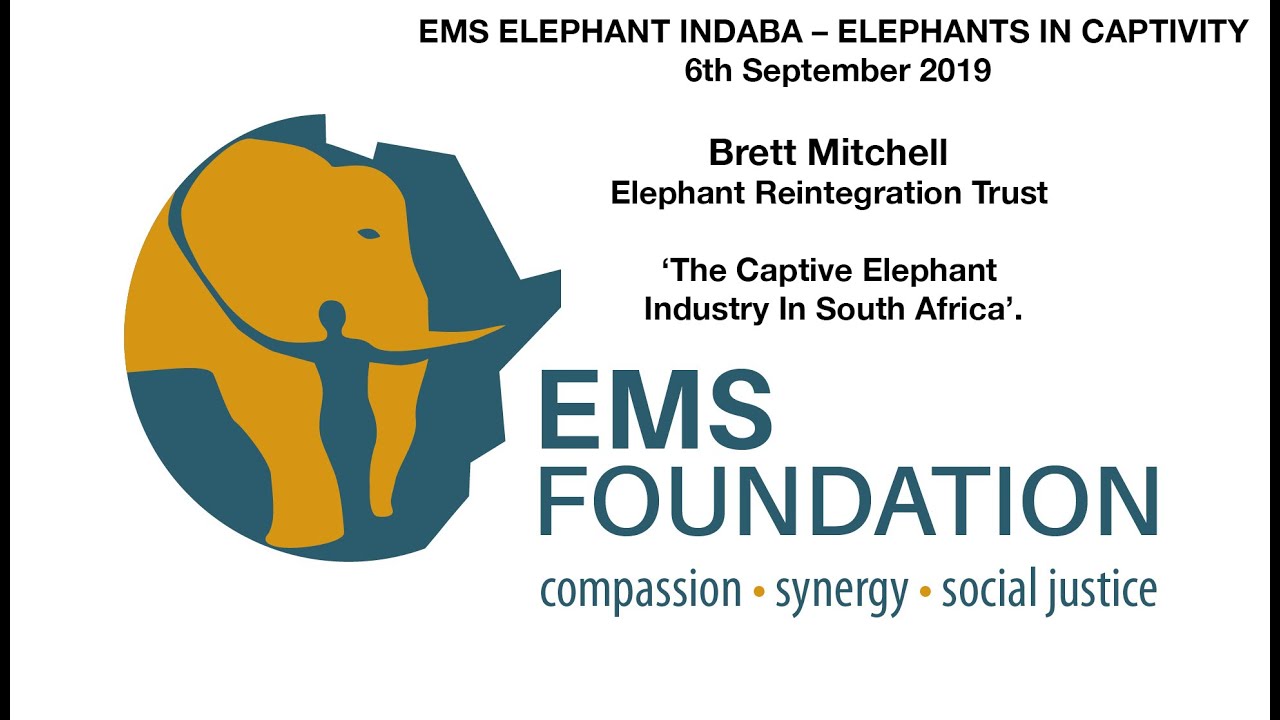 Brett Mitchell - Elephant Reintegration Trust - YouTube