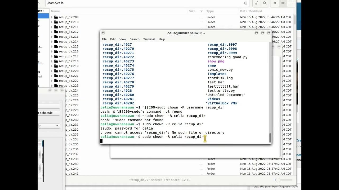 Linux-How To Remove recup_dir files - YouTube