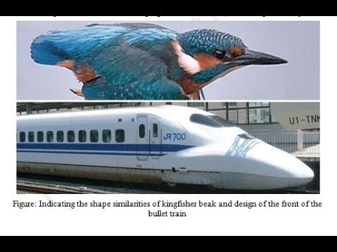 Kingfisher Beak BBOC407 Biology for CSE, VTU, designing high speed ...