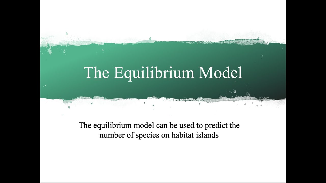 Equilibrium Theory Revised 5 2021 - YouTube