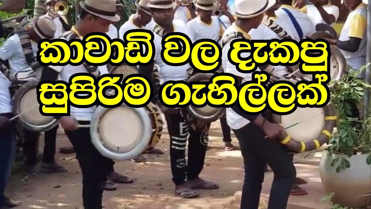 දකපු සුපිරිම කාවඩි ගැහිල්ලක් | Kawadi papare sri lanka - YouTube