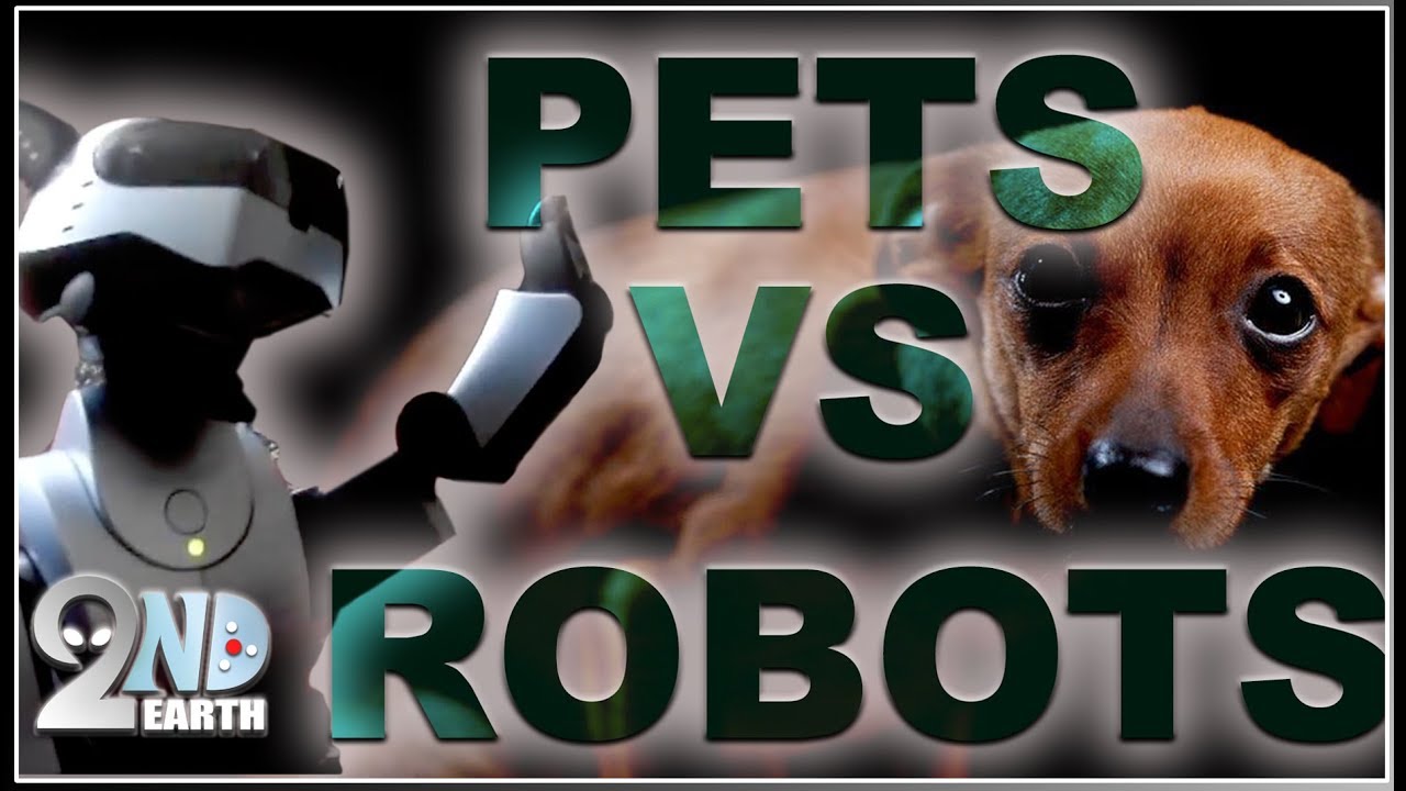 PETS vs ROBOTS • Funny cat & dog REACTION VIDEOS COMPILATION to ...