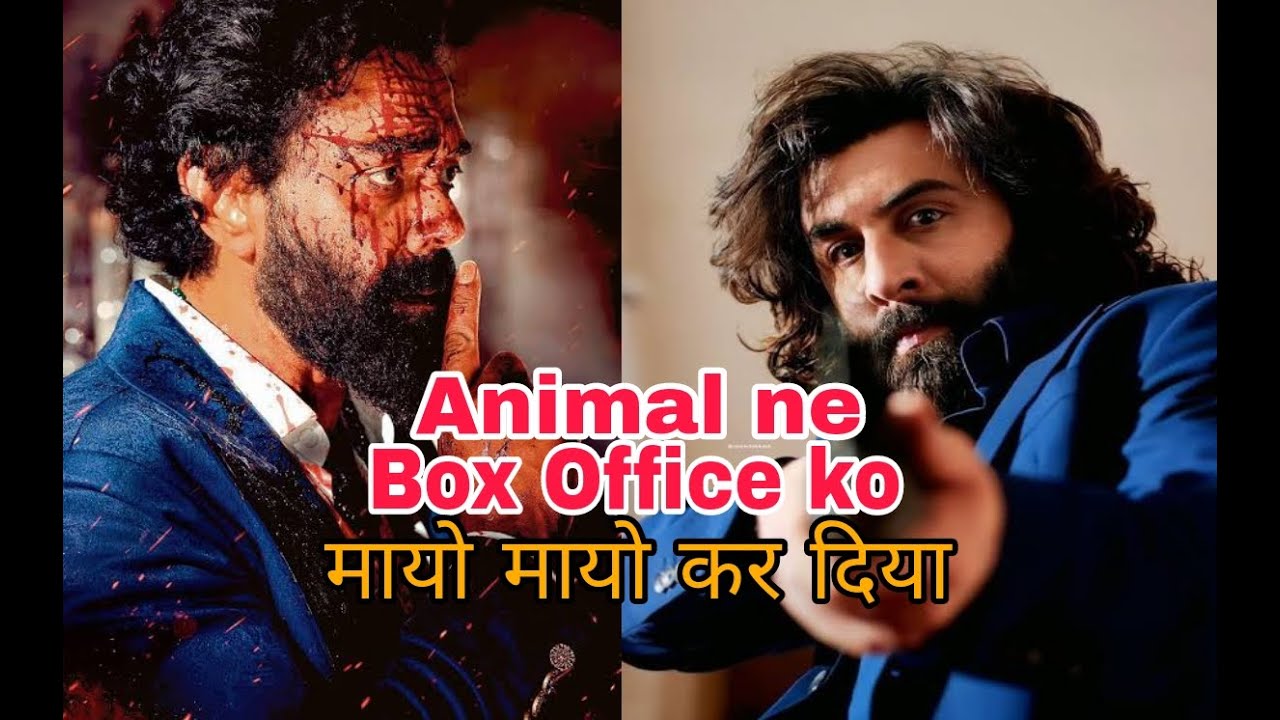 Animal Box Office Collection | 14 Day Total collection | Ranbir Kapoor ...