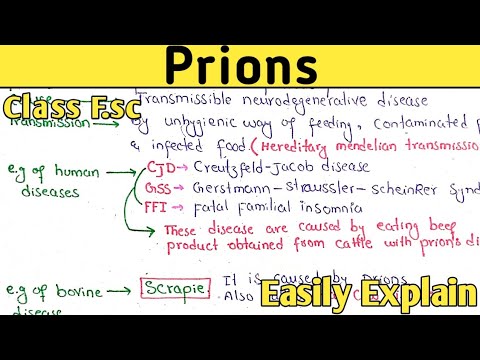 Prions | Infectious Protein Particle | Class 11 - YouTube