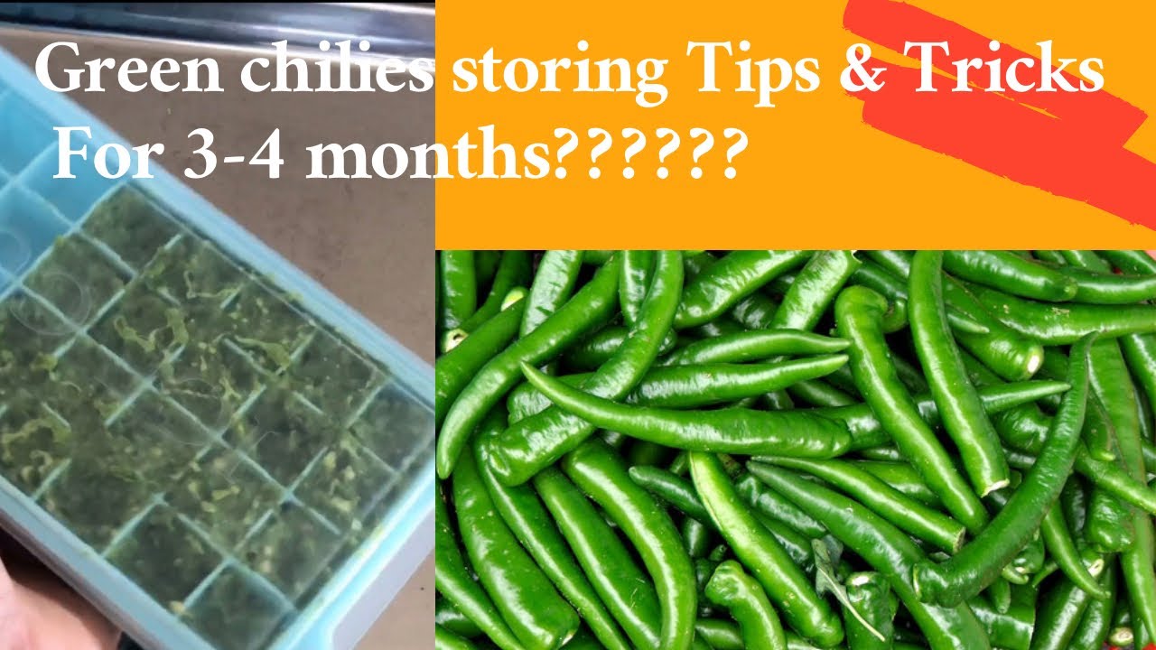 How to store Green chilies for months|Frozen Green chilies| Tips to ...
