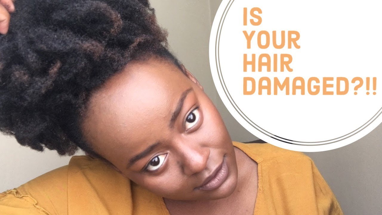 Dealing With Damaged Hair | Natural Hair | Hlomla Lutya - YouTube