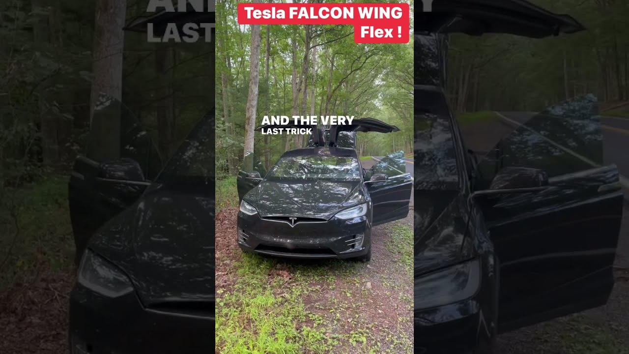 TESLA Model X FALCON WING Door Flex ! #tesla #tsla 2017 w/ 218,000 ...