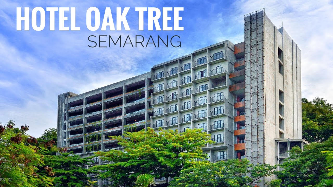 REVIEW HOTEL OAK TREE SEMARANG TERBARU - YouTube