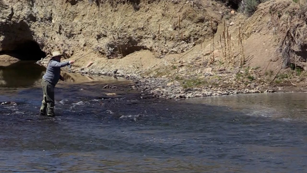Fly Fishing a Back Eddy on the East Walker River - YouTube