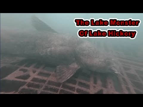 Lake History And Man Eating Catfish - YouTube