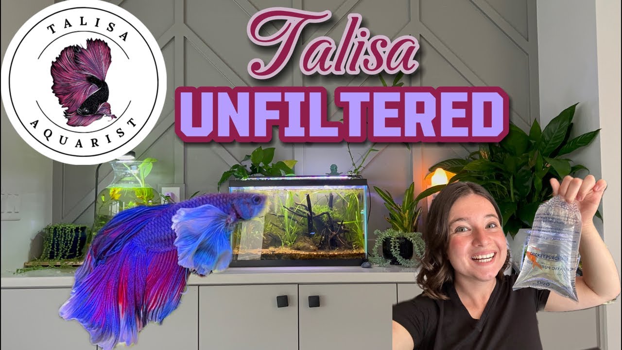 Talisa Unfiltered Live! - YouTube