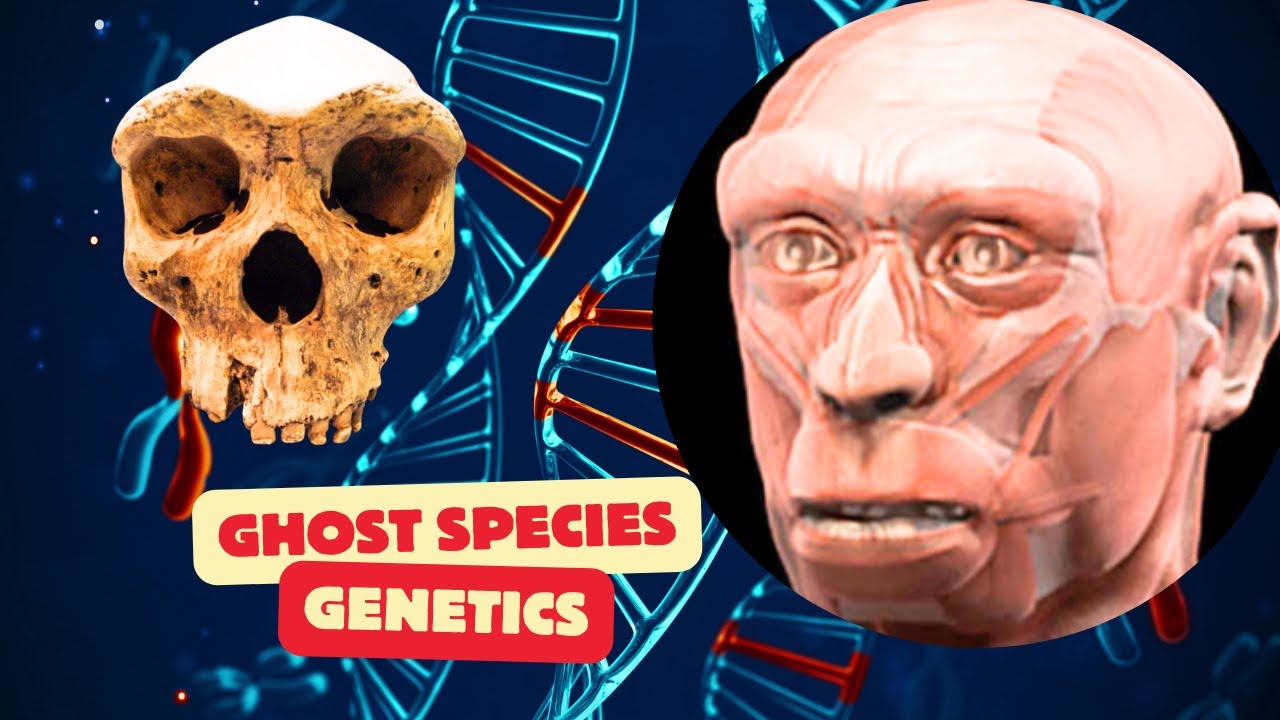 The Genetic Impact of Ghost Species on Modern Humans - YouTube