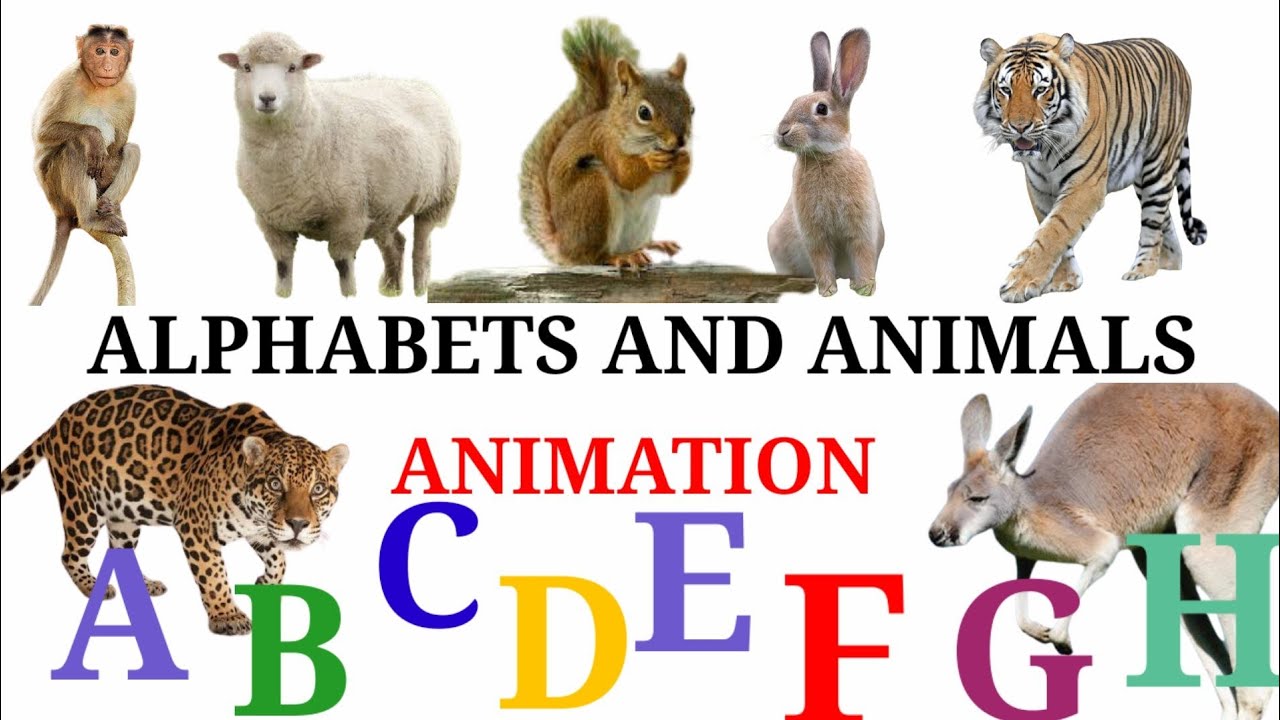 ABCD WITH ANIMALS | Animals and ABCD Cartoons | Learn ABCD Cartoons ...