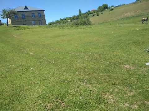 Quba Alpan kendi 8 sot torpaq sahesi  senedi var.  Qiymet razılaşma yolu ile, tel 070 293 55 83 Anar