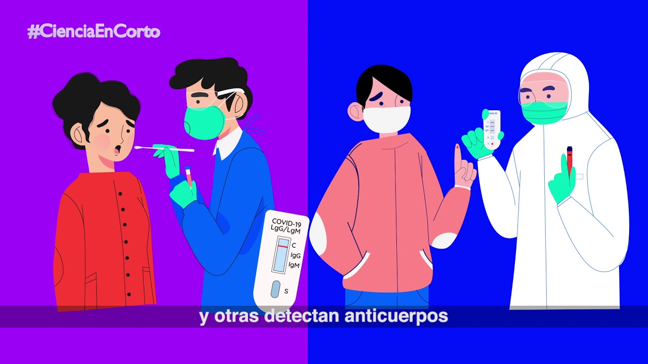 Diagnóstico del coronavirus. Pruebas rápidas o PCR - YouTube