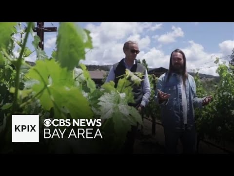 De-alcoholizing Napa Valley wine