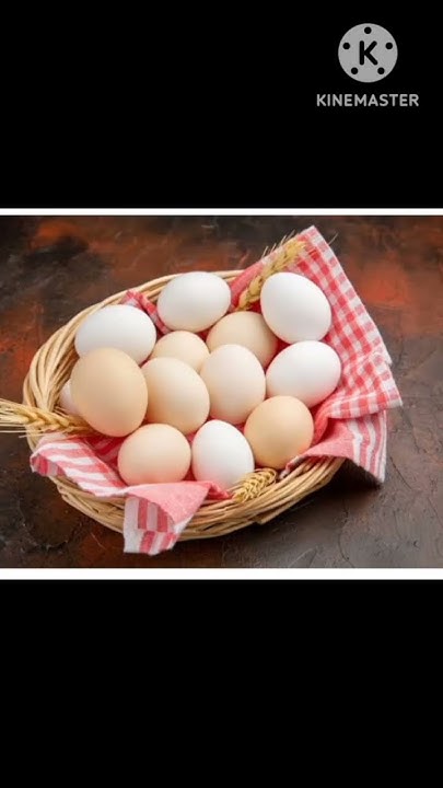 egg has nutritional value. - YouTube