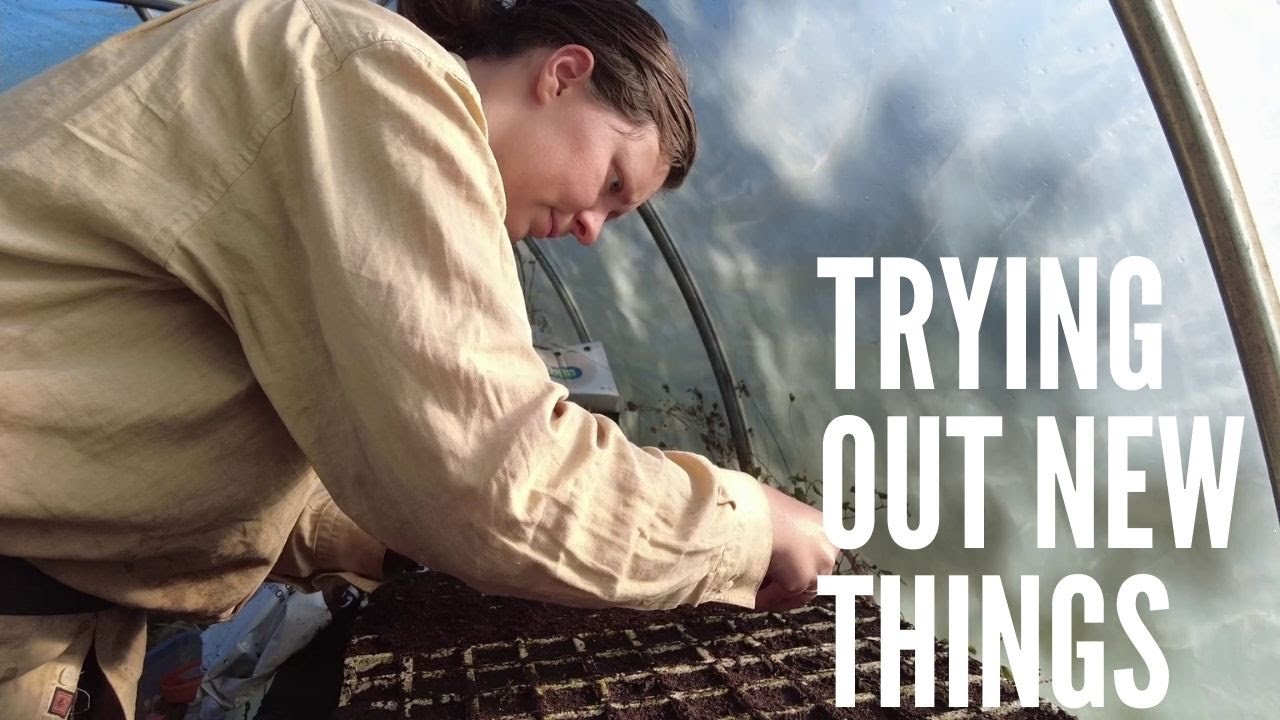 Trying to get back into the swing of things while Youtube is getting me down - YouTube