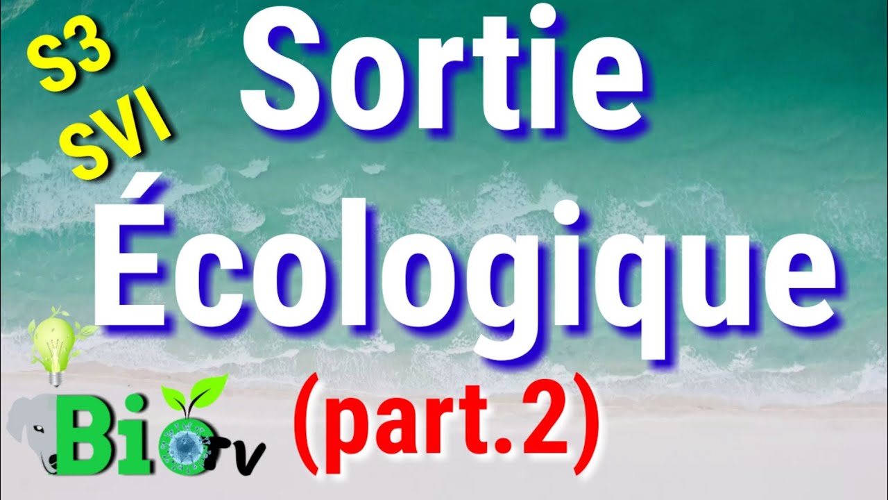 Sortie écologique s3 - rappel - écosystème terrestre - YouTube