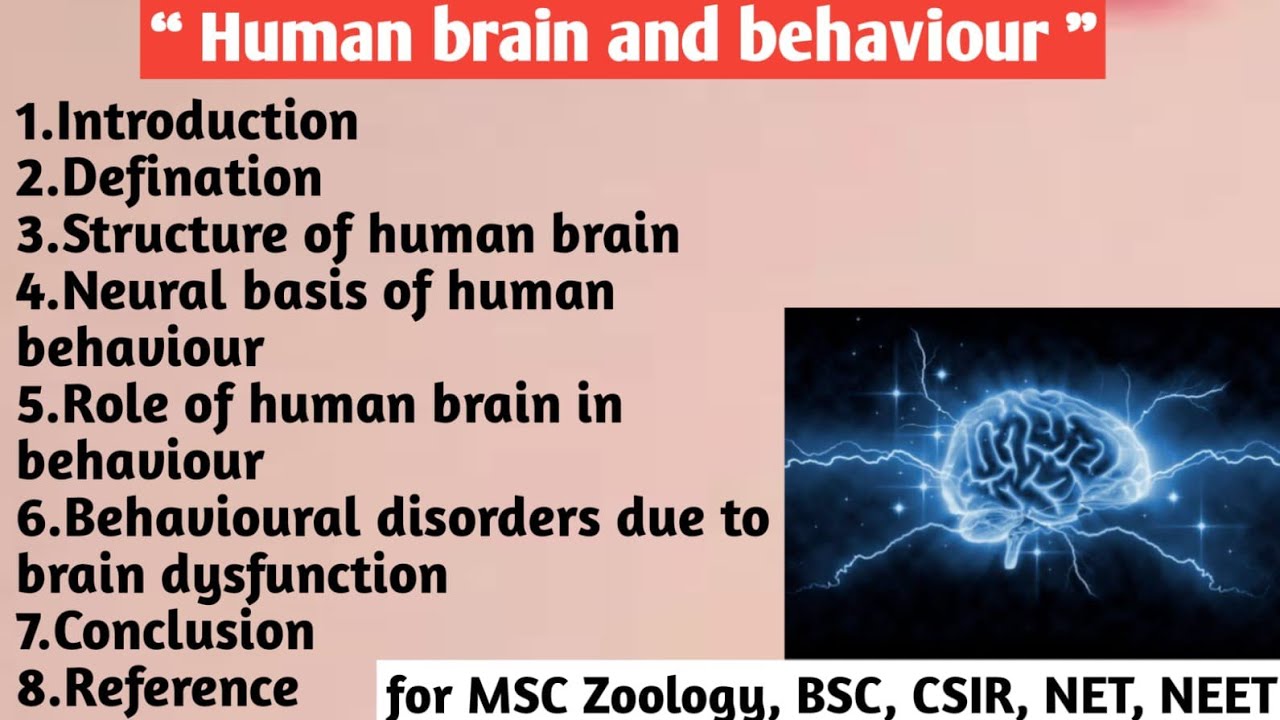 Human brain and behaviour | Structure | Neural basis of human behaviour ...