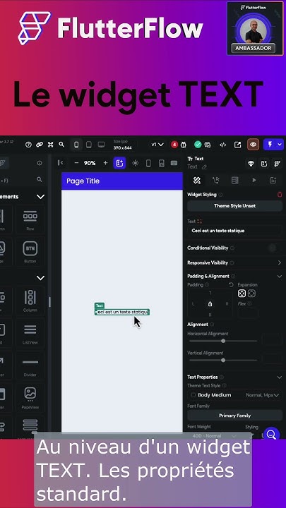 Flutterflow: Le WIDGET Text - YouTube